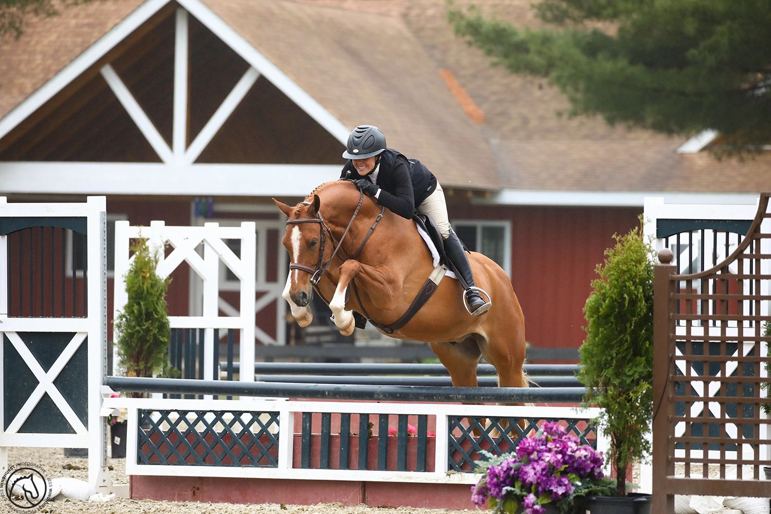 Bayside Hill Stables